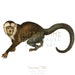Clipart Monkey Graphic Image Digital Clipart Digital - Etsy