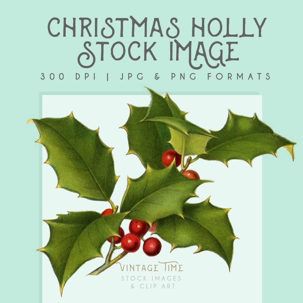 Vintage Christmas Holly Clipart Image, Christmas Graphic, Digital Print ...