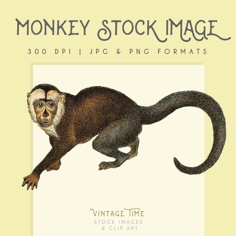 Clipart Monkey Graphic Image, Digital Clipart, Digital Download ...