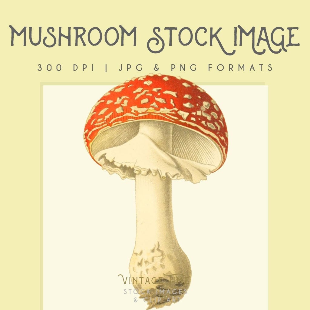 Red Mushroom Clipart Image, Instant Download Mushroom Print, Clip Art ...