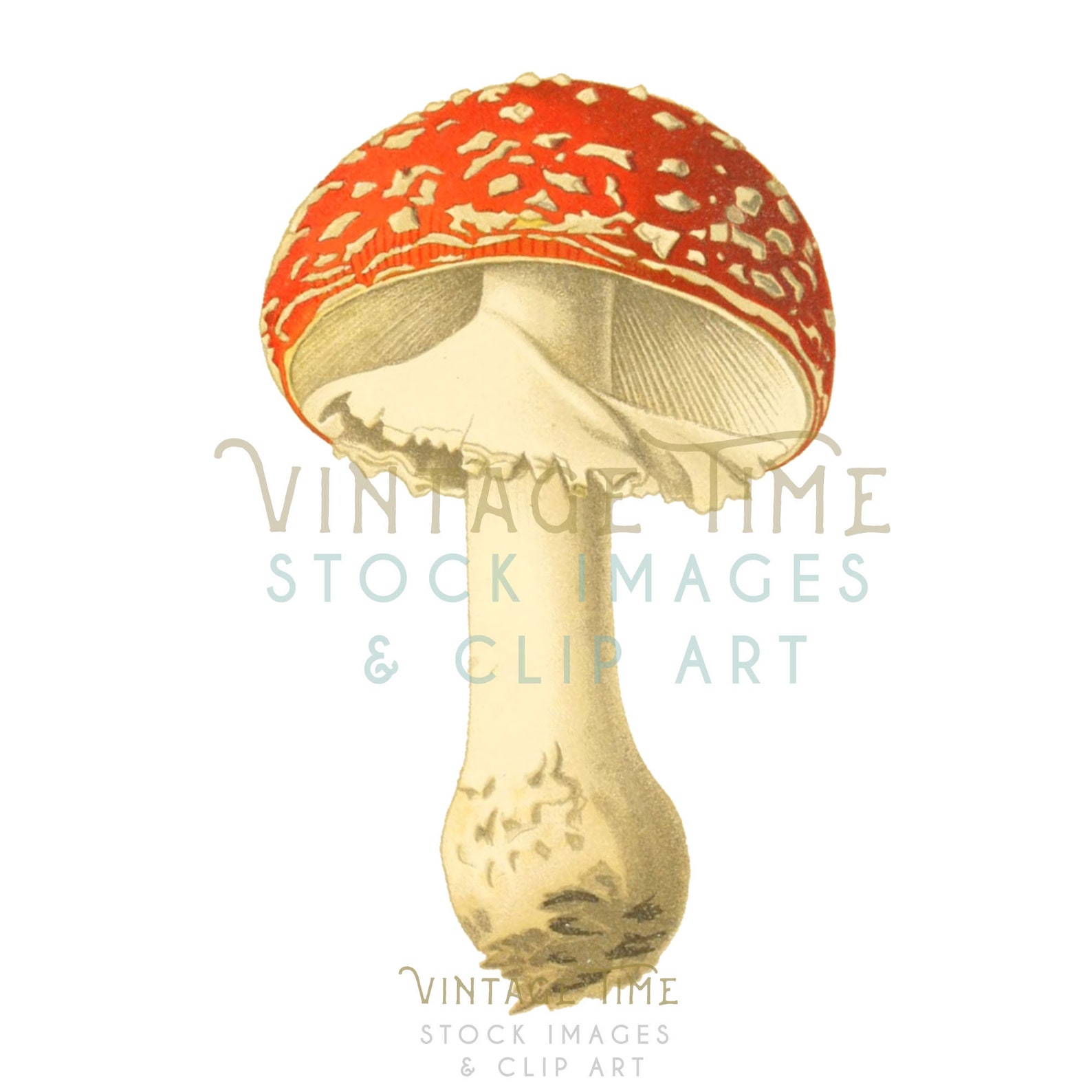 Red Mushroom Clipart Image, Instant Download Mushroom Print, Clip Art ...