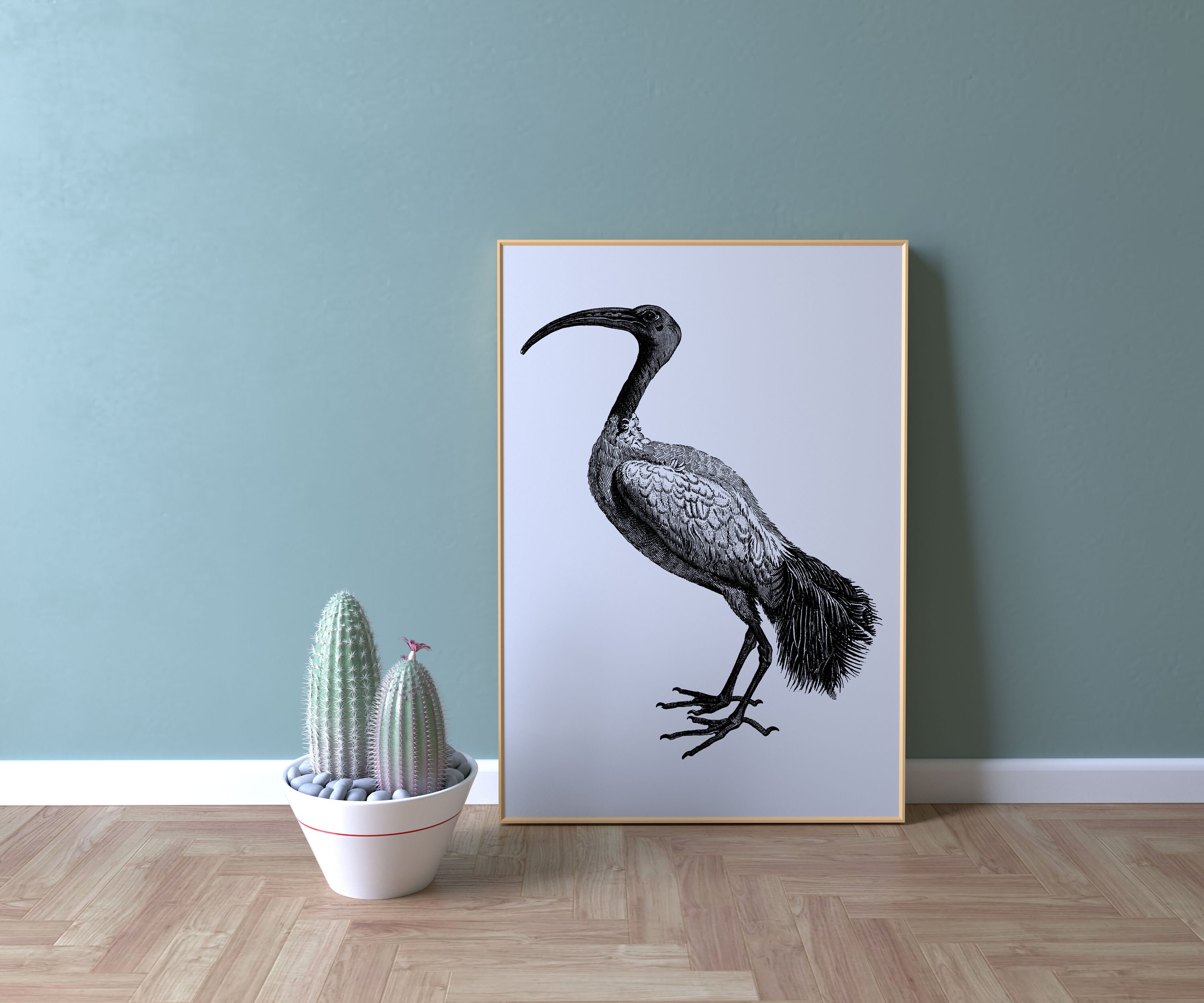 Ibis Bird Clipart Image, Instant Download, Ibis Print, Ibis Clip Art ...