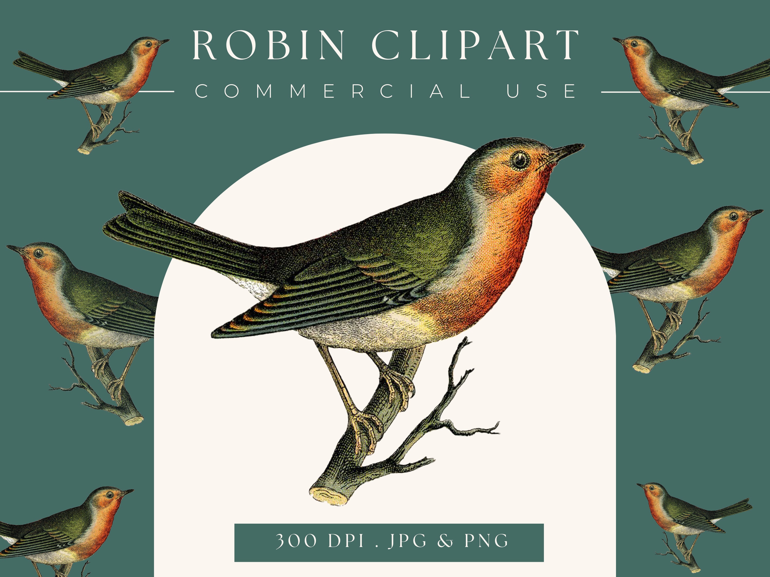 Robin Clipart, Instant Download Robin Printable, Robin Clip Art ...