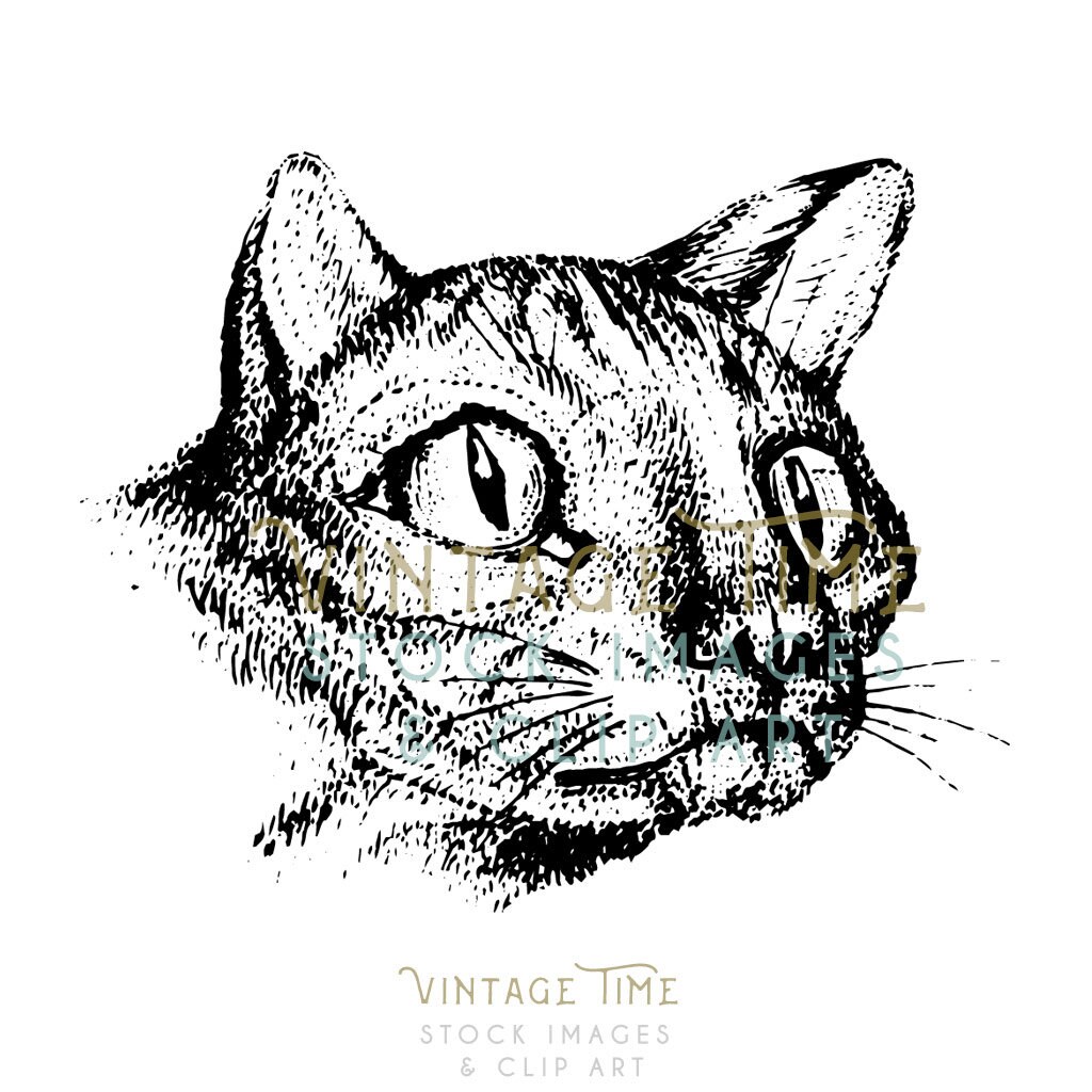 Cat Clipart Image, Instant Download Cat Print, Cat Clip Art Commericial ...