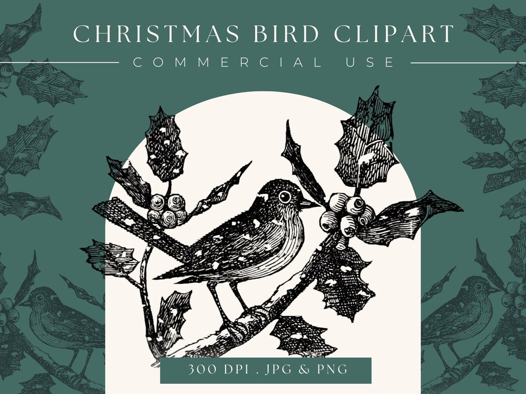 Christmas Bird Clipart Image, Christmas Graphic, Digital Download ...