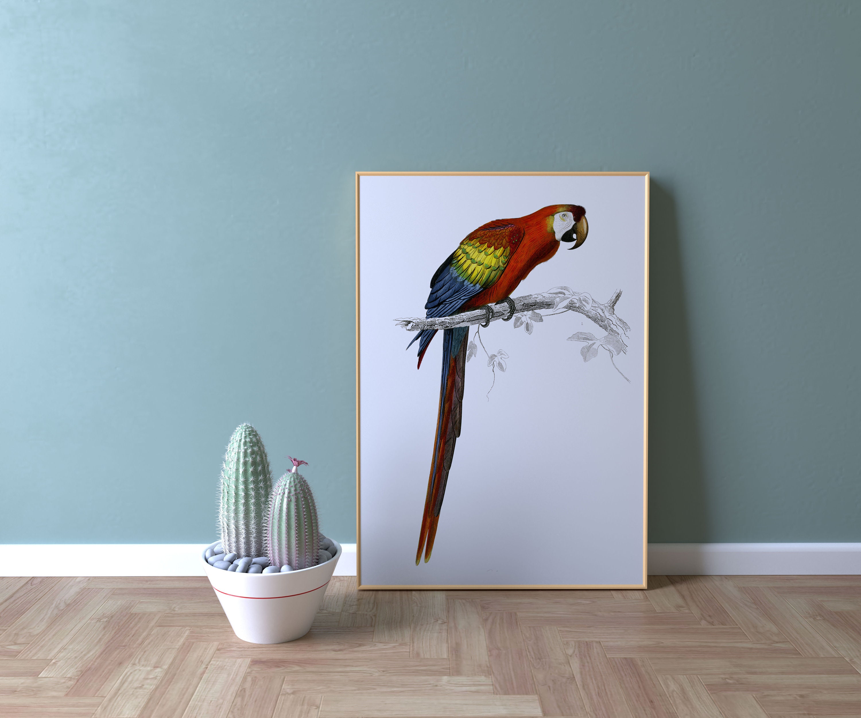Macaw Bird Clipart Image, Instant Download Parrot Printable, Parrot ...