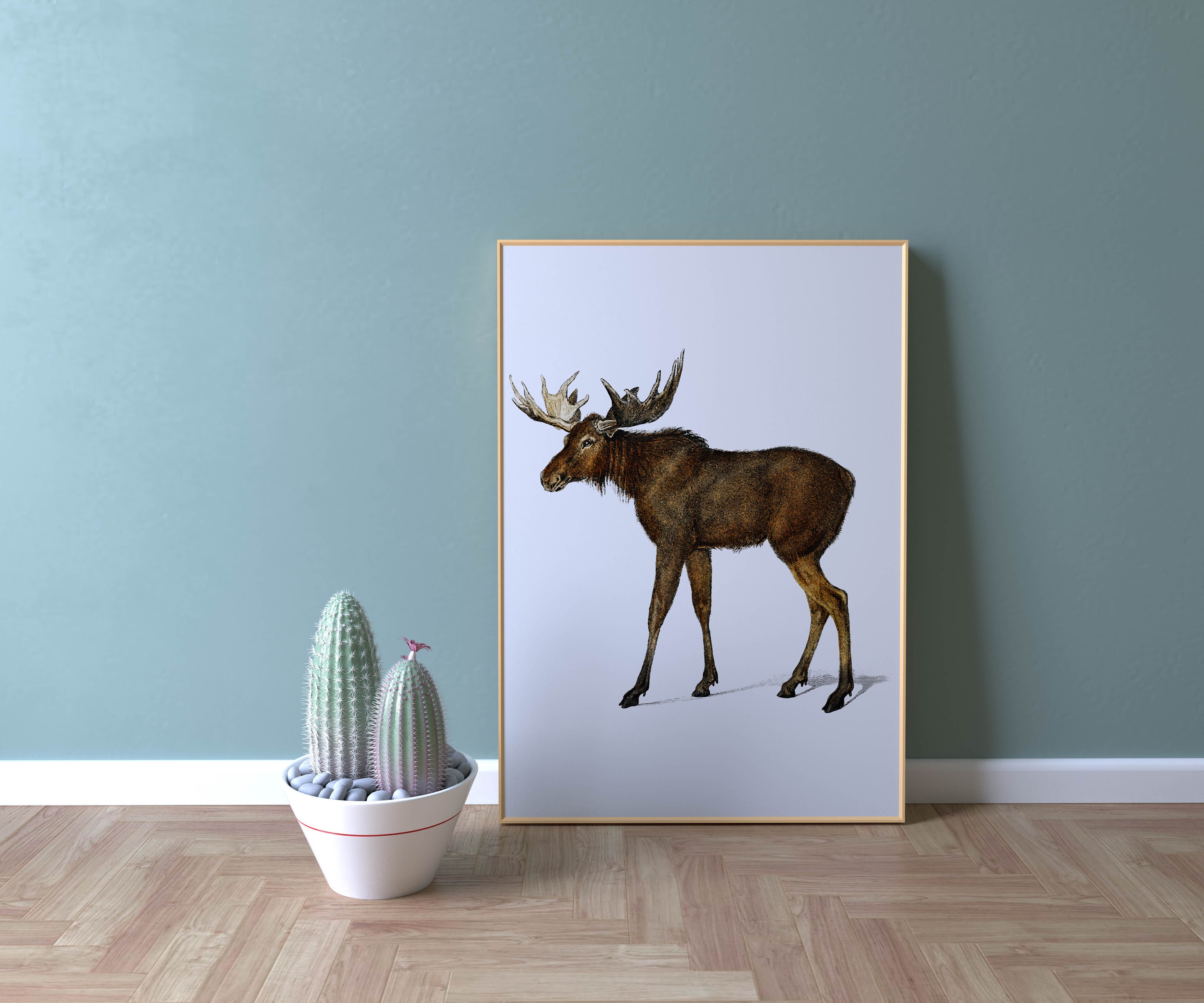 Clipart Moose Image Graphic, Digital Clipart, Digital Download, Instant ...