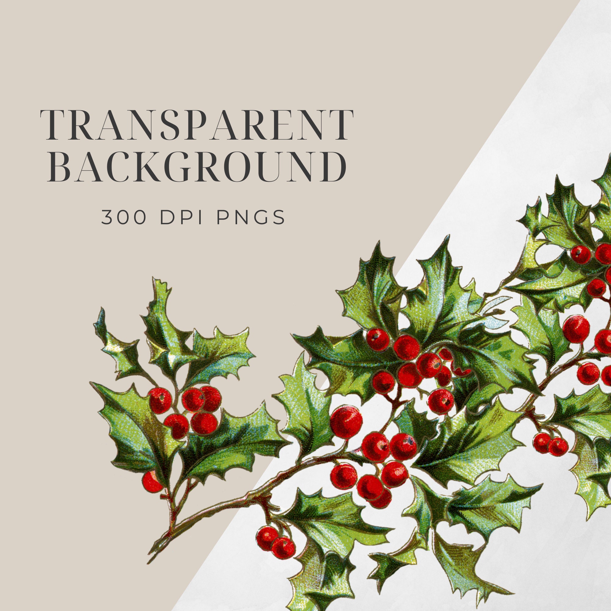 Vintage Christmas Clipart Pack | Christmas Botanicals | Christmas ...