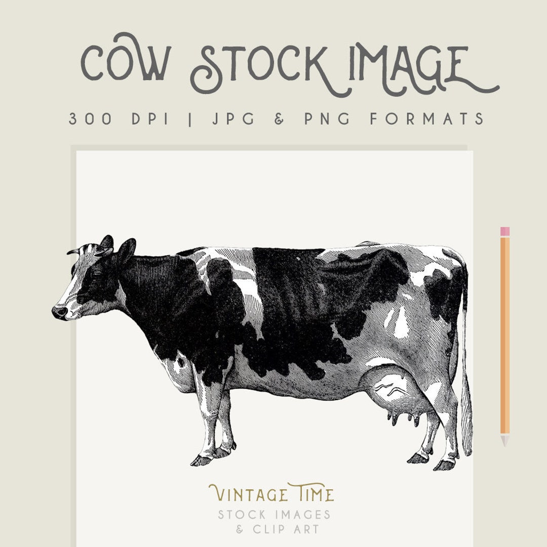 Cow Clipart Instant Download, Cow Clip Art, Commercial Use Cow Clip Art ...