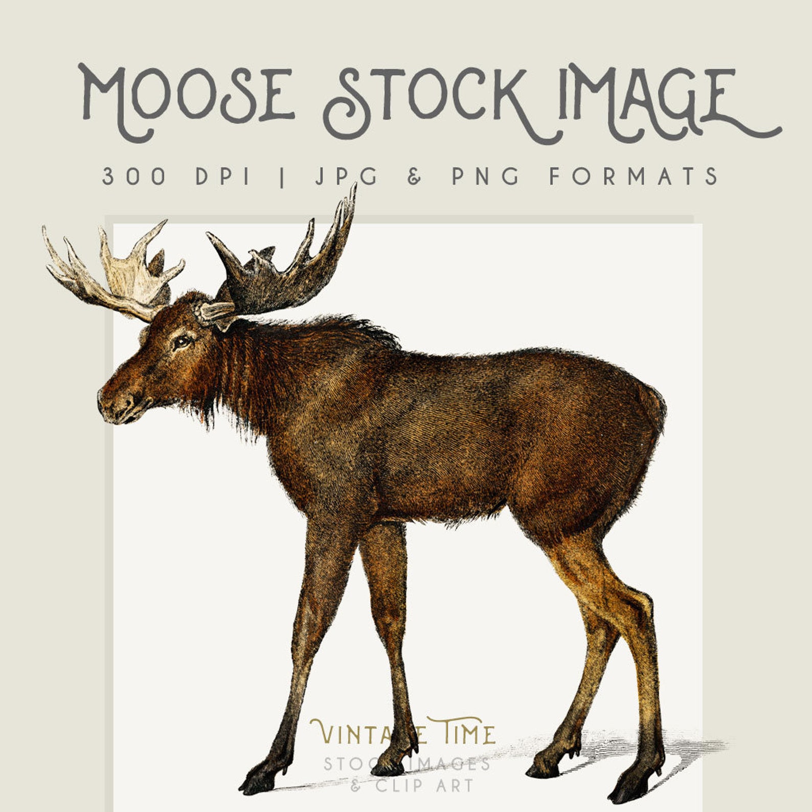 Clipart Moose Image Graphic, Digital Clipart, Digital Download, Instant ...