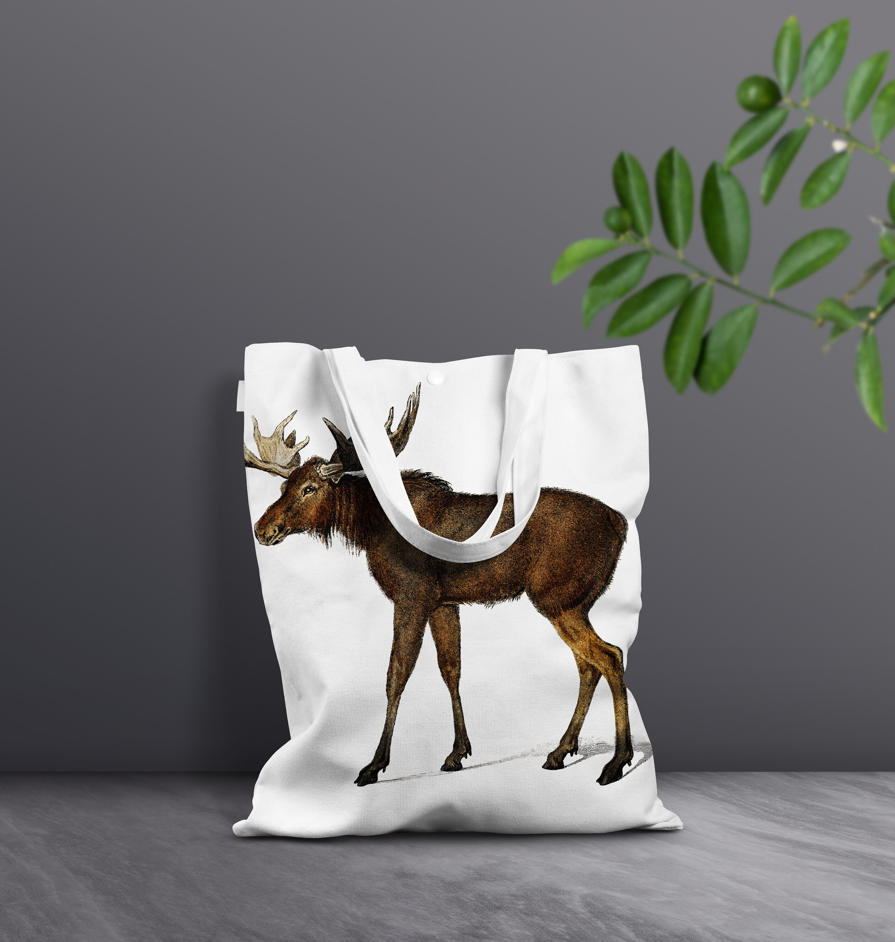 Clipart Moose Image Graphic, Digital Clipart, Digital Download, Instant ...