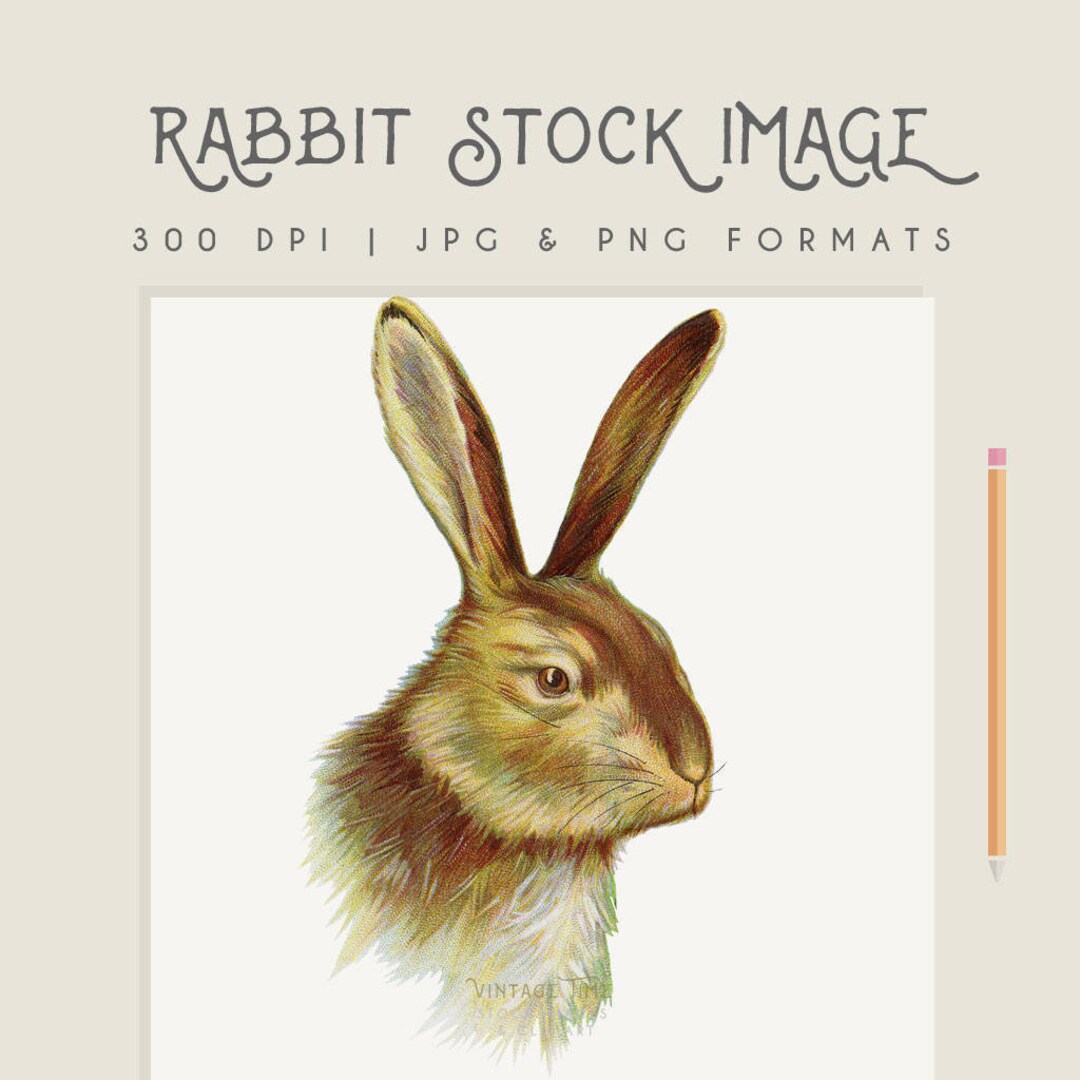Vintage Rabbit Clipart Image, Rabbit Print, Easter Print, Drawing ...