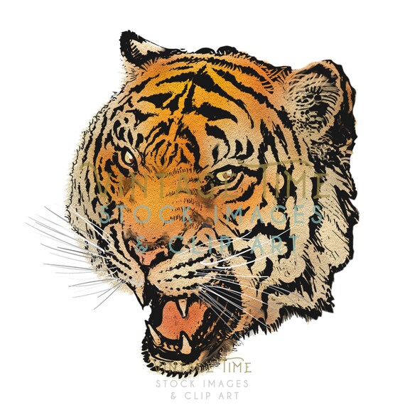Tiger Print Clip Art