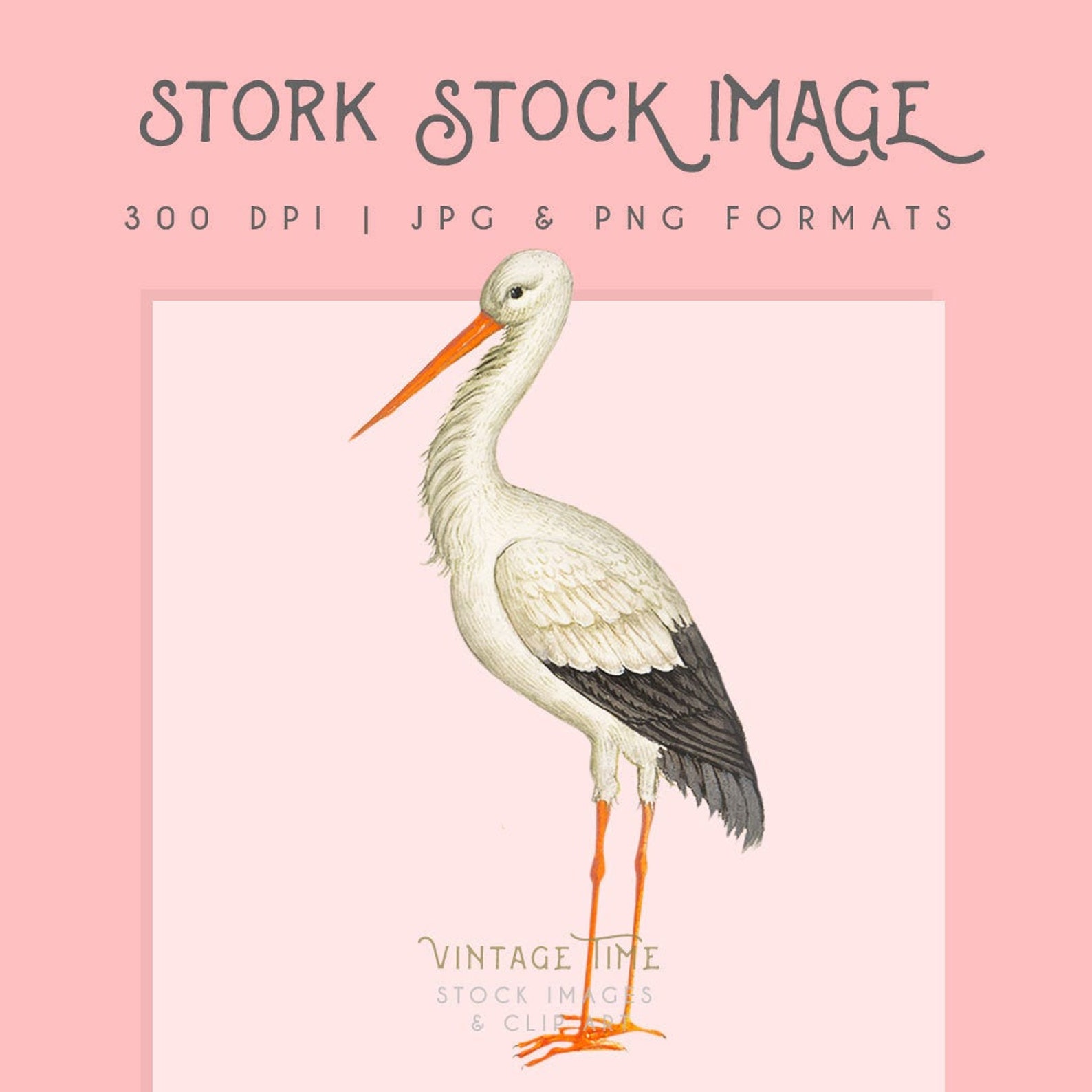 Clipart Stork Bird Image, Digital Download, Wall Art, Stork Graphic ...