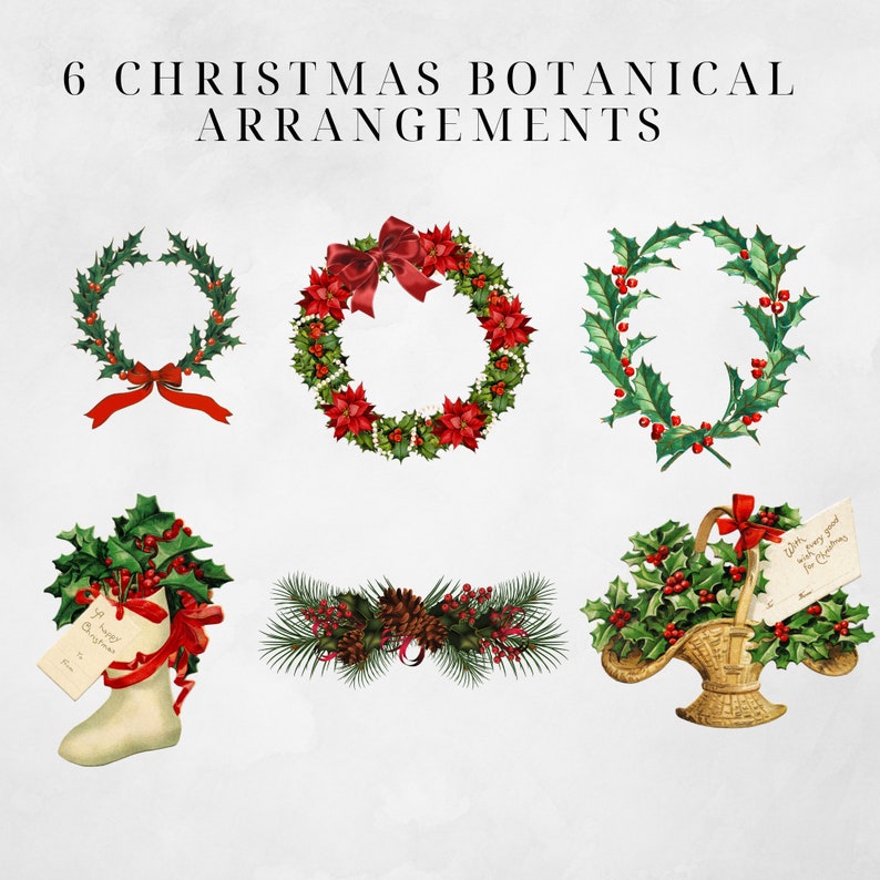 Vintage Christmas Clipart Pack | Christmas Botanicals | Christmas ...