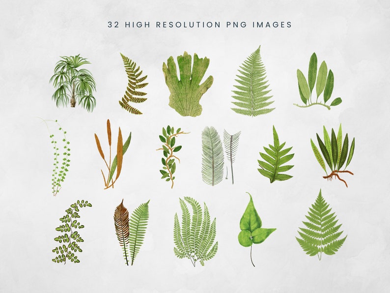Watercolor Tropical Leaves Clipart | Monstera Clipart | Leaf Png ...