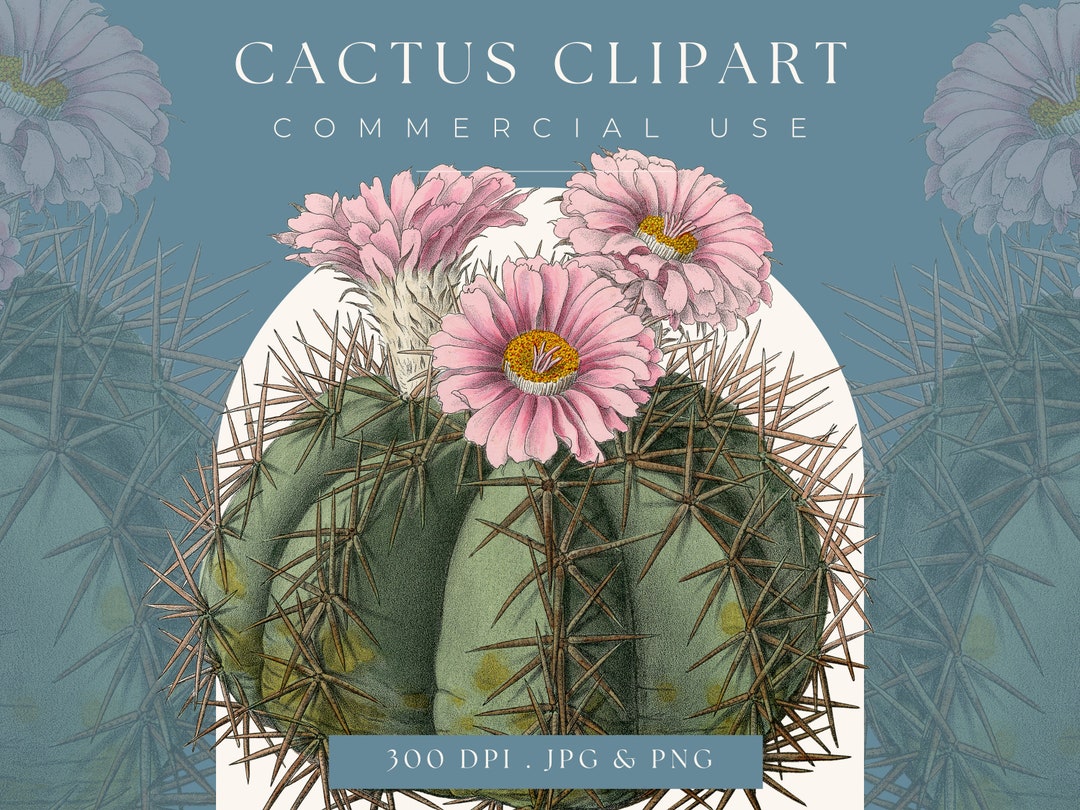 Cactus Clipart, Instant Download Cactus Printable, Cactus Clip Art ...