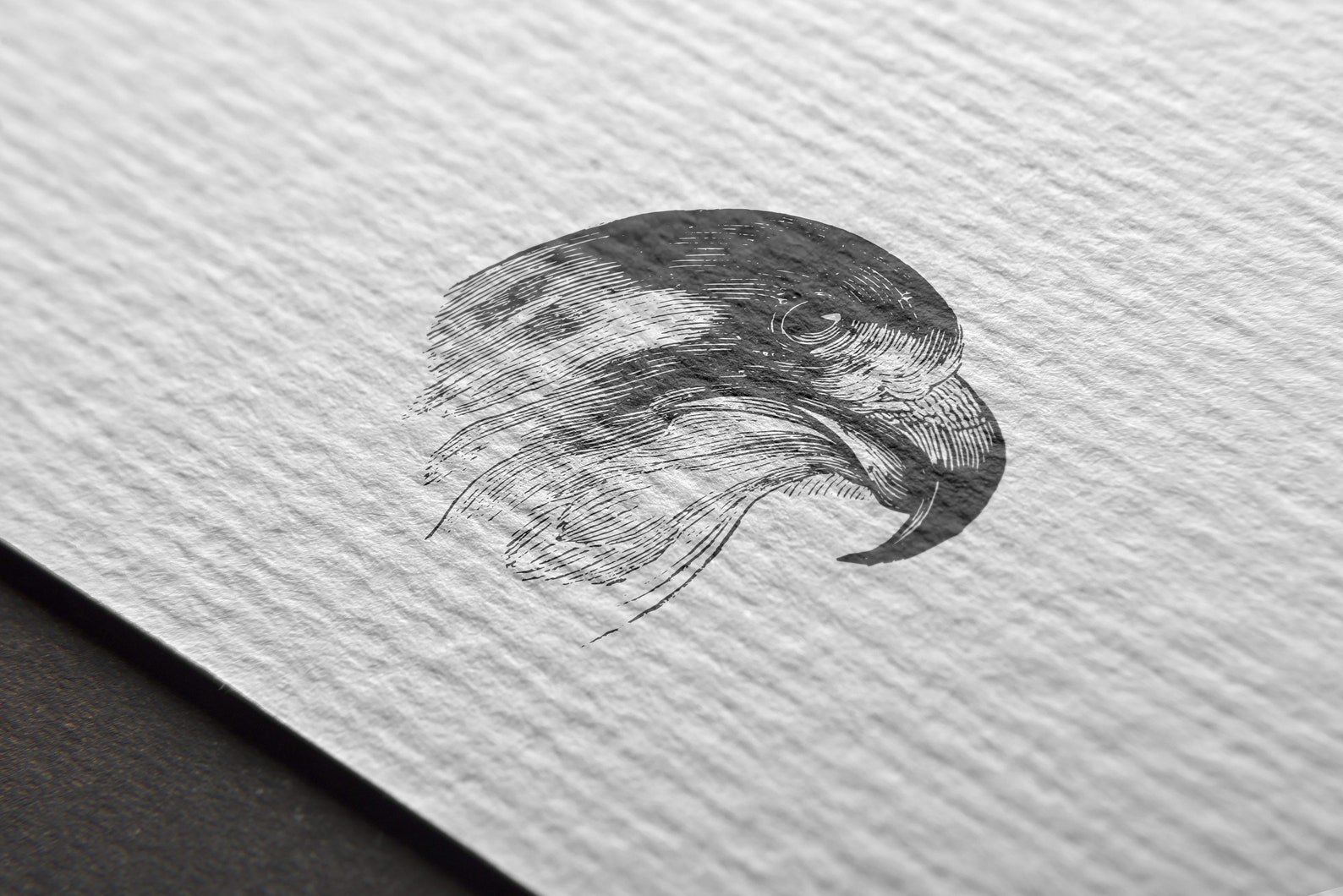 Falcon Bird Clipart Image, Instant Download Falcon Print, Falcon Clip ...