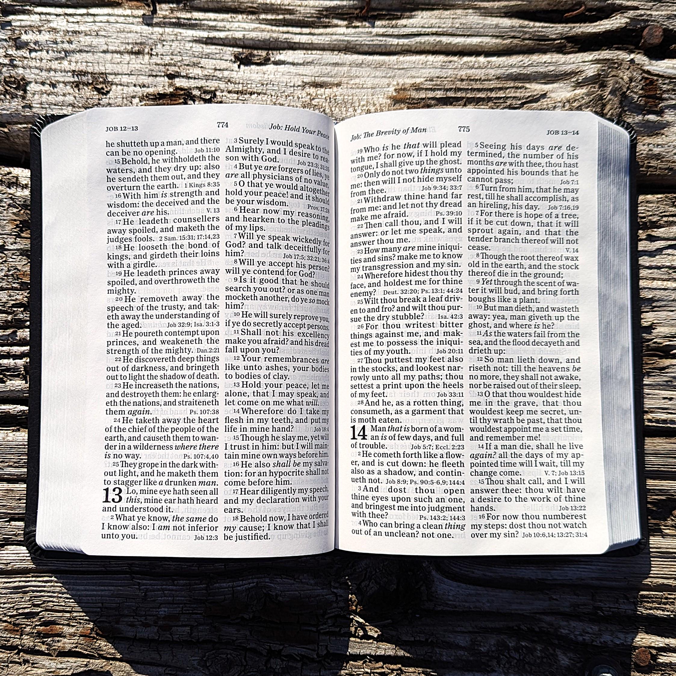 Personalized KJV Large Print Personal Size Reference Bible | Custom ...