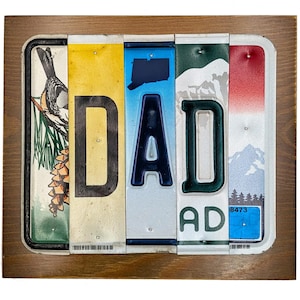 Custom Made License Plate Letter Signs - Spell Out Your Words With ...
