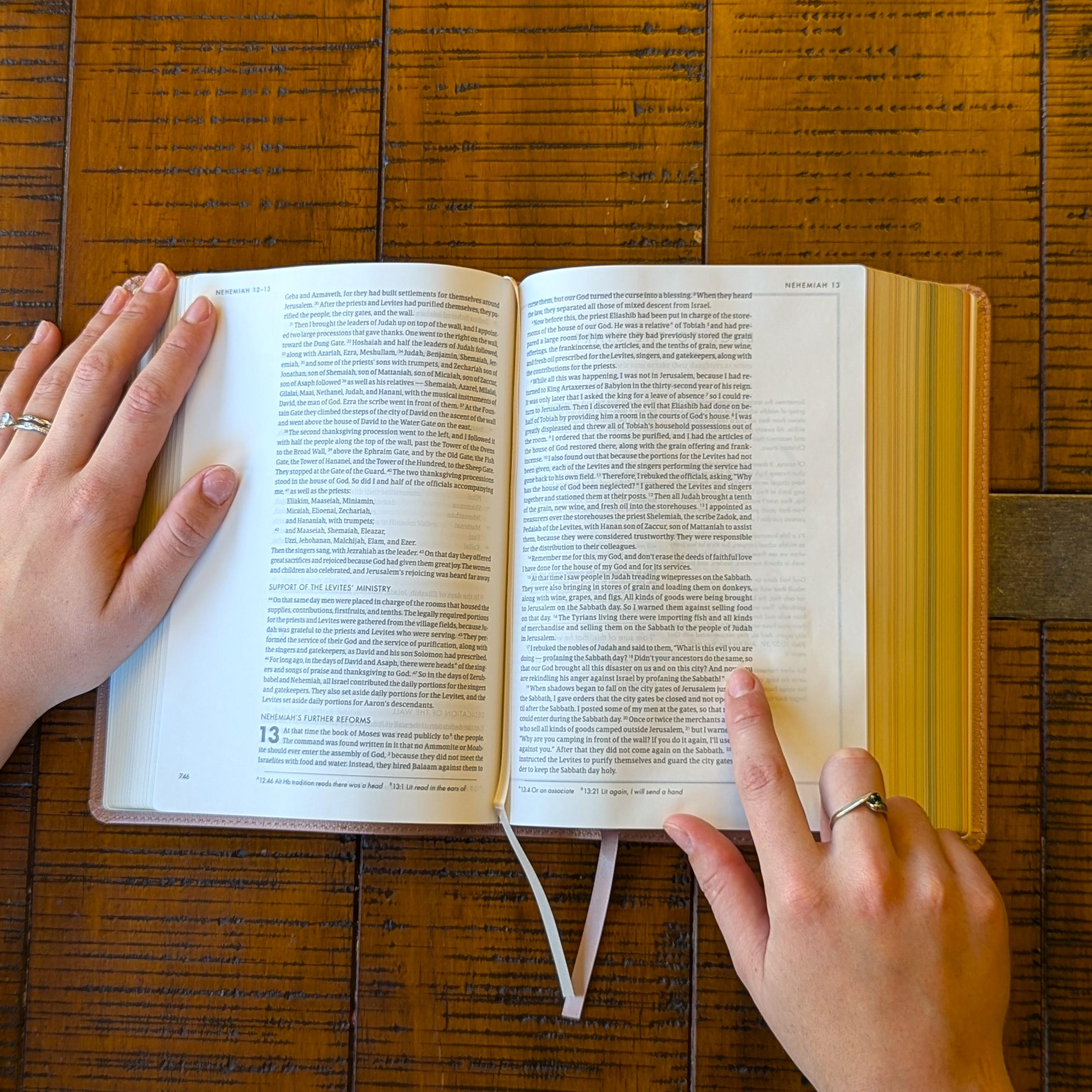 Personalized CSB Bible | Custom Engraved Name | Pink Journaling Bible ...