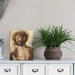 Religious Icon Christ as Triumphant Redeemer Photo Panel for Tabletop ...