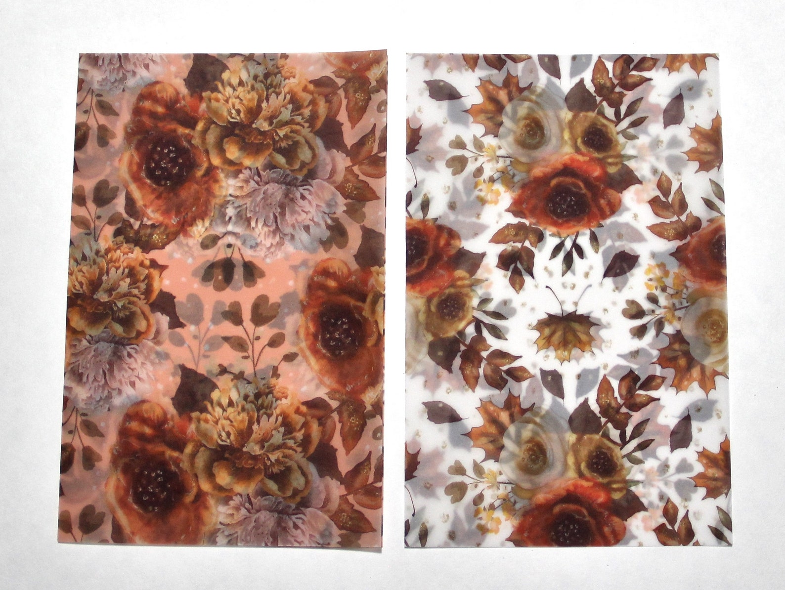 Fall Splendor Vellum; Autumn Vellum; Bloomsical; Pumpkin Vellum ...