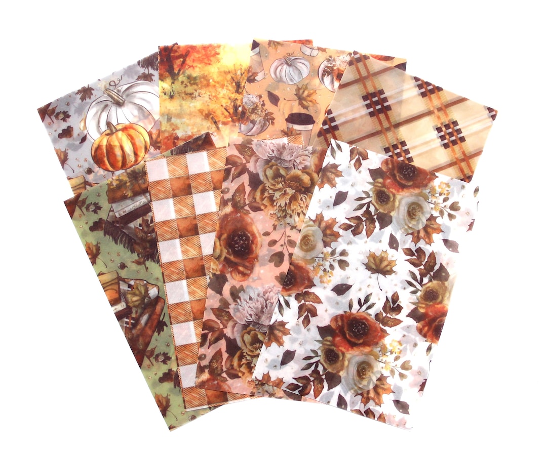 Fall Splendor Vellum; Autumn Vellum; Bloomsical; Pumpkin Vellum ...