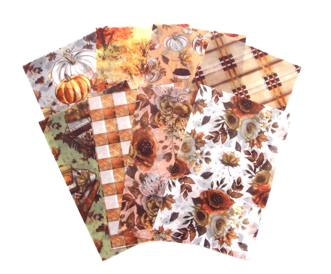 Fall Splendor Vellum; Autumn Vellum; Bloomsical; Pumpkin Vellum ...