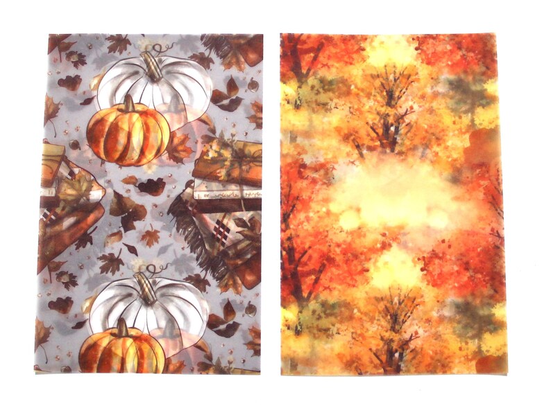 Fall Splendor Vellum; Autumn Vellum; Bloomsical; Pumpkin Vellum ...