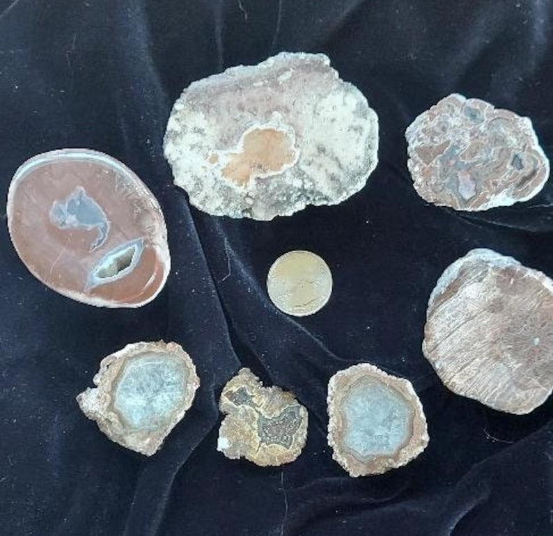 Baker Thunder Eggs Agate (highly Polished), Set of (7), S.W. New Mexico ...