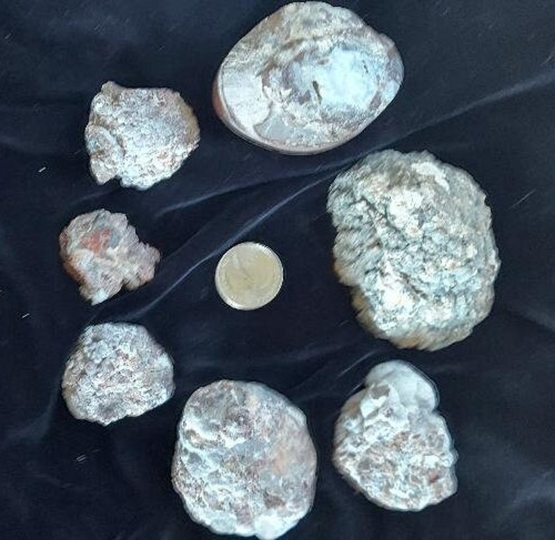 Baker Thunder Eggs Agate (highly Polished), Set of (7), S.W. New Mexico ...