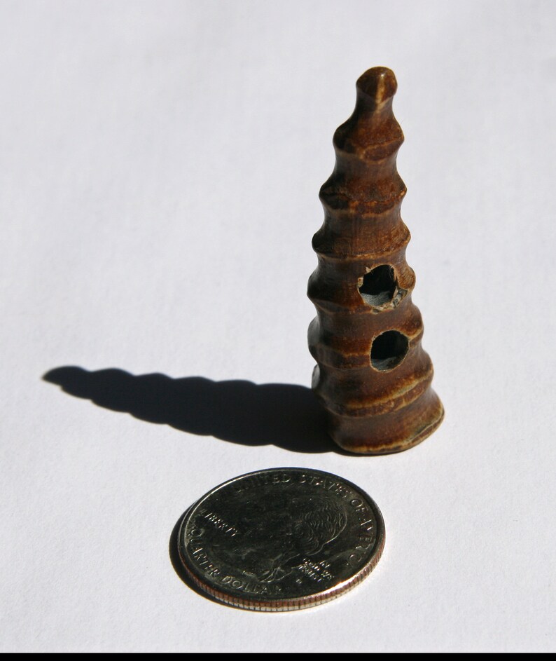 FREE First Class Shipping, Real Bone Toggle Button With Ridges, 2 Hole ...