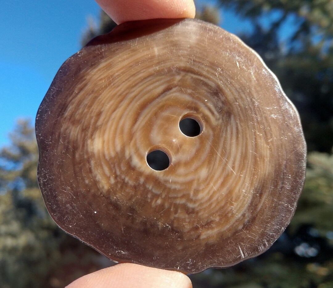 FREE First Class Shipping, HUGE Faux Wood Button, Amber Color, Annular ...