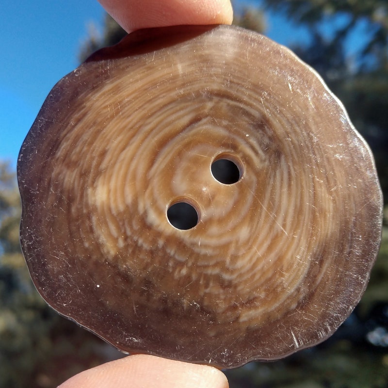 Amber Buttons - Etsy