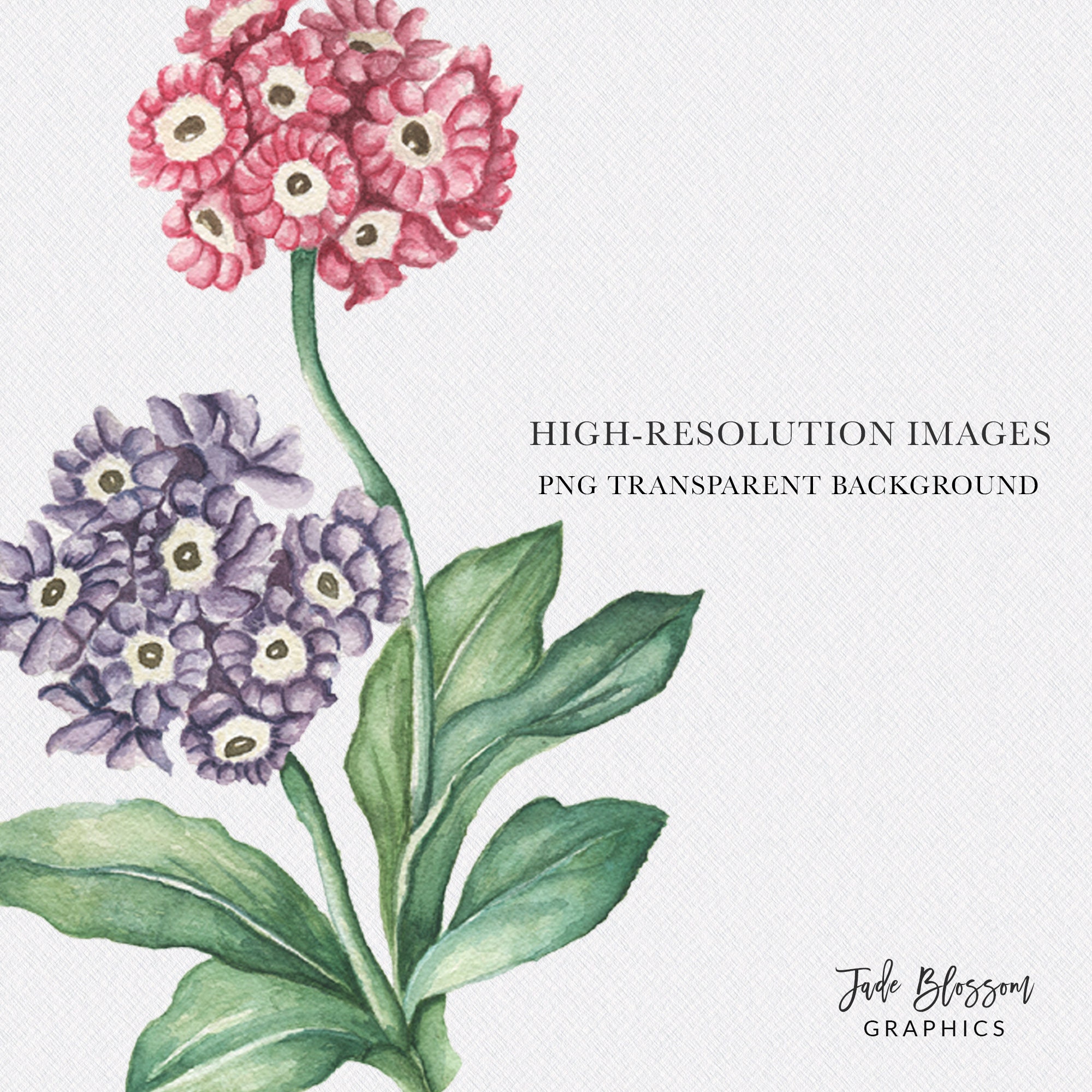 Hand Painted Watercolour Floral Clipart, Vintage Flowers, Watercolor ...