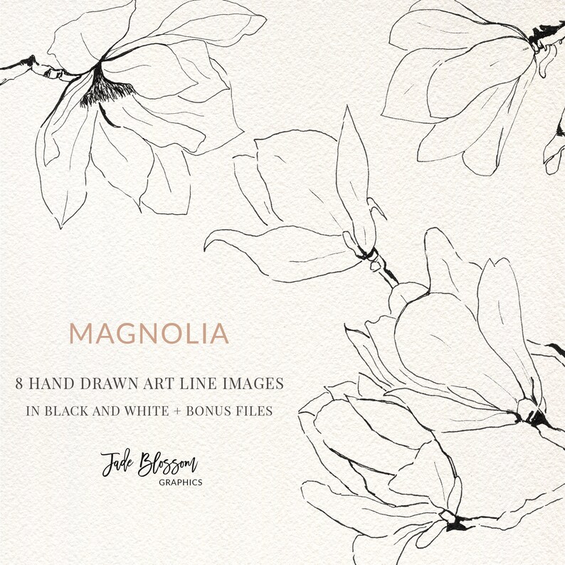 Magnolia Fine Line Clipart Hand Drawn Fine Art Graphic - Etsy