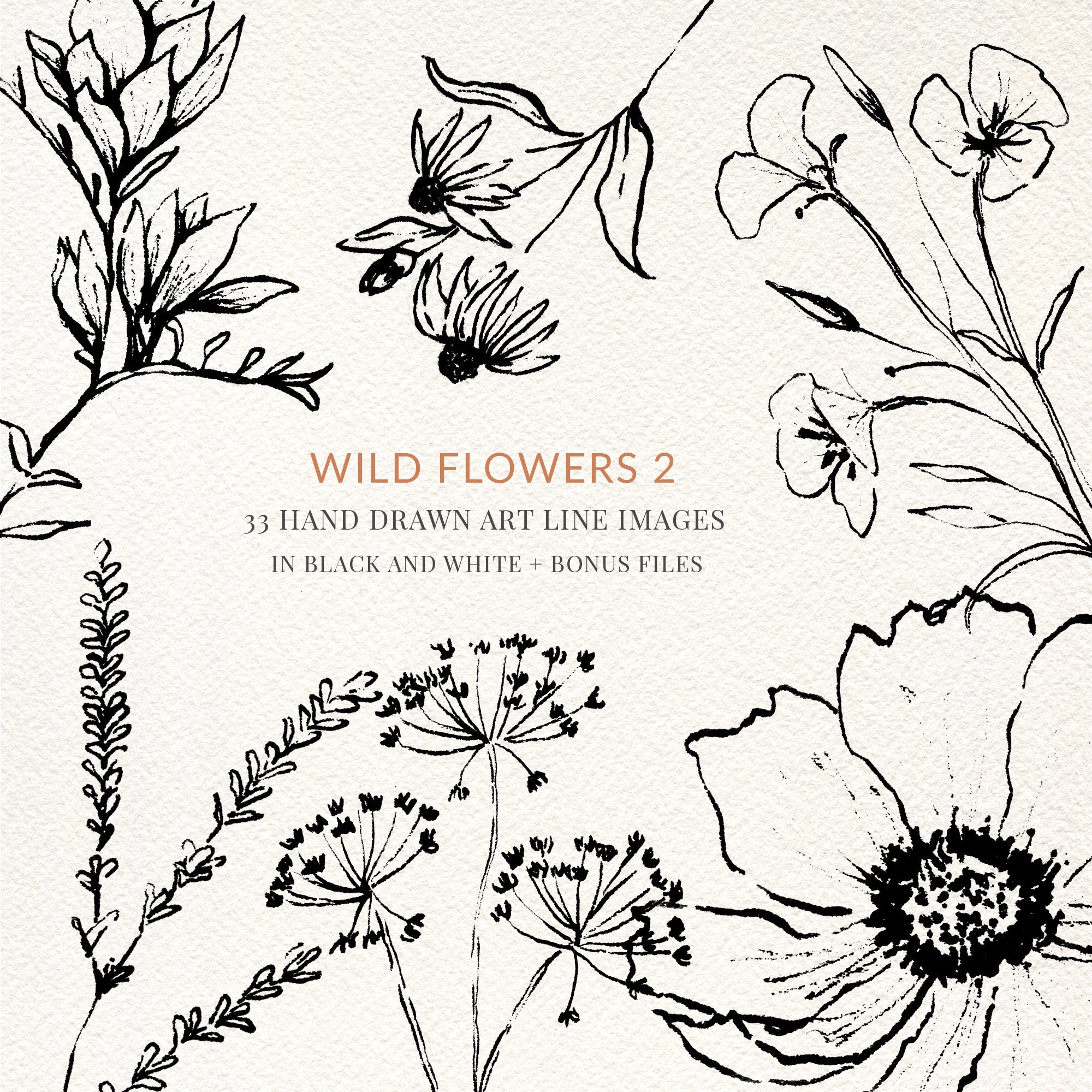 Wild Flowers Fine Line Clipart Hand Drawn Fine Art Graphic - Etsy