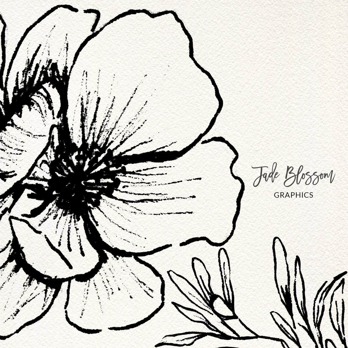 Wild Flowers Fine Line Clipart Hand Drawn Fine Art Graphic - Etsy
