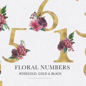 Watercolor Floral Numbers Gold Numbers Floral Numbers Monogram Letters ...