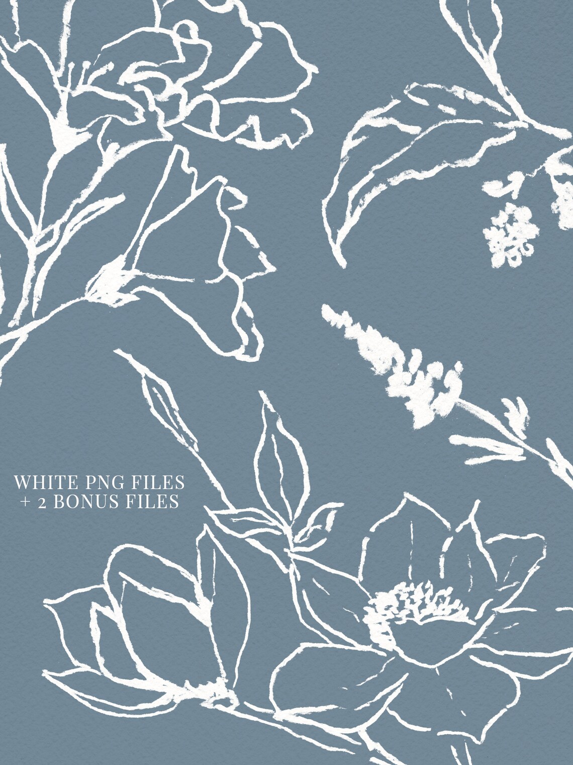 Botanicals Fine Line Clipart Hand Drawn Fine Art Graphic Cherry Blossom ...