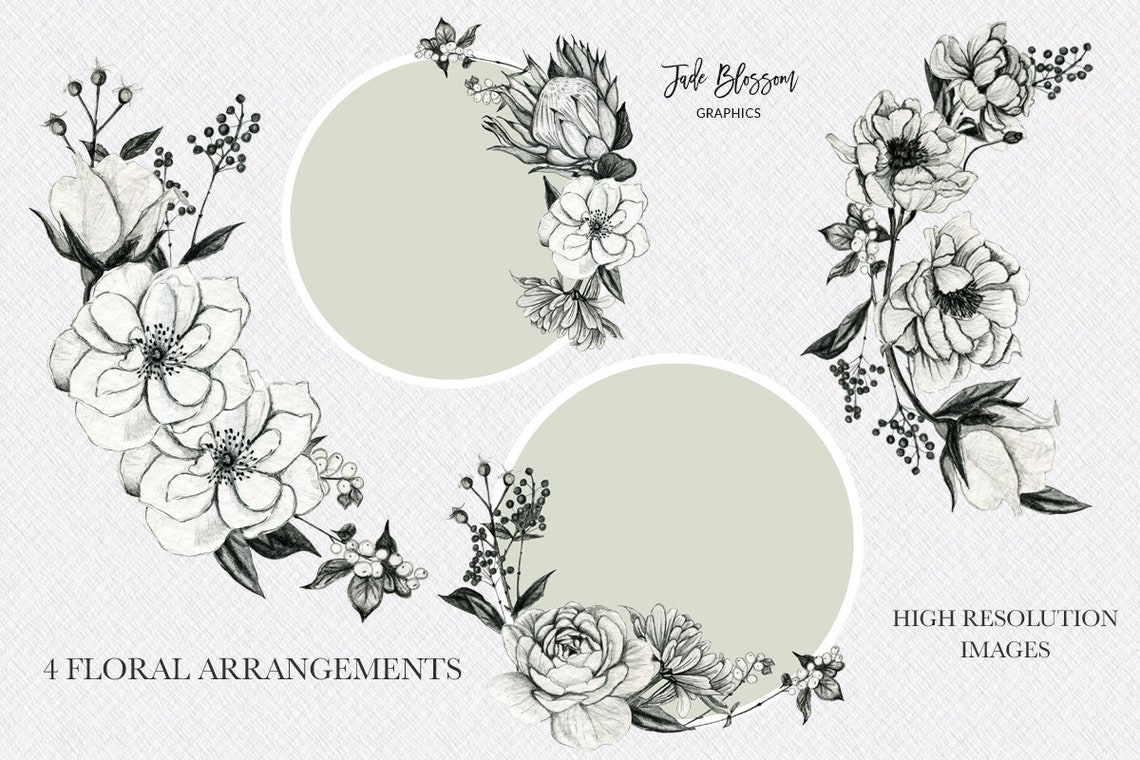 Botanicals Fine Line Clipart Hand Drawn Fine Art Graphic - Etsy