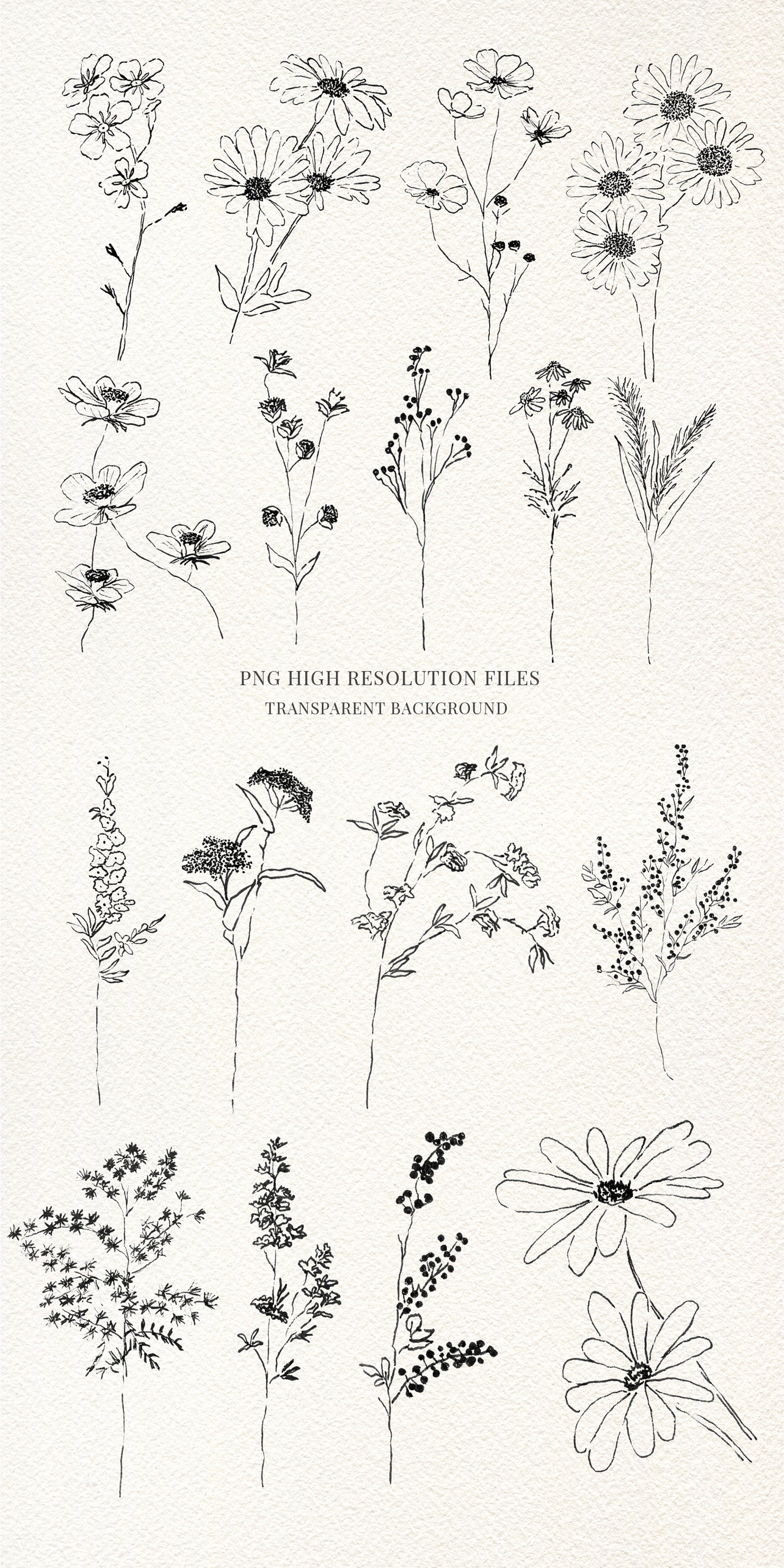 Wild Flowers Fine Line Clipart Hand Drawn Fine Art Graphic - Etsy