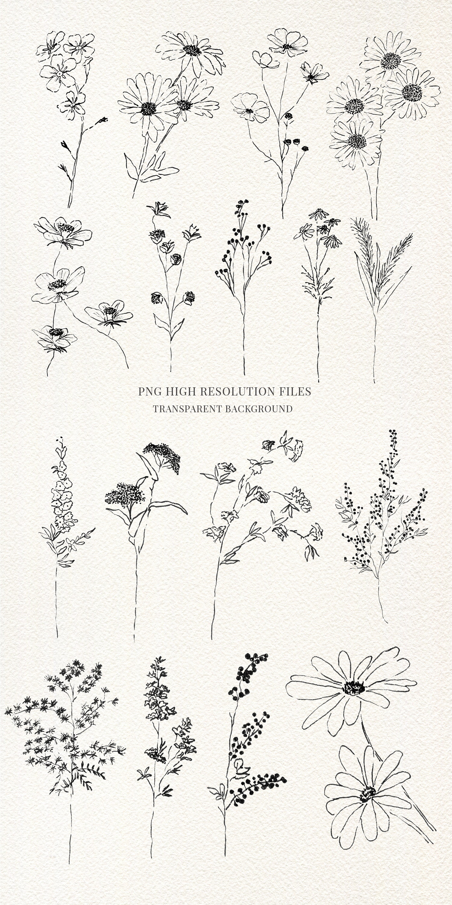 Wild Flowers Fine Line Clipart Hand Drawn Fine Art Graphic - Etsy