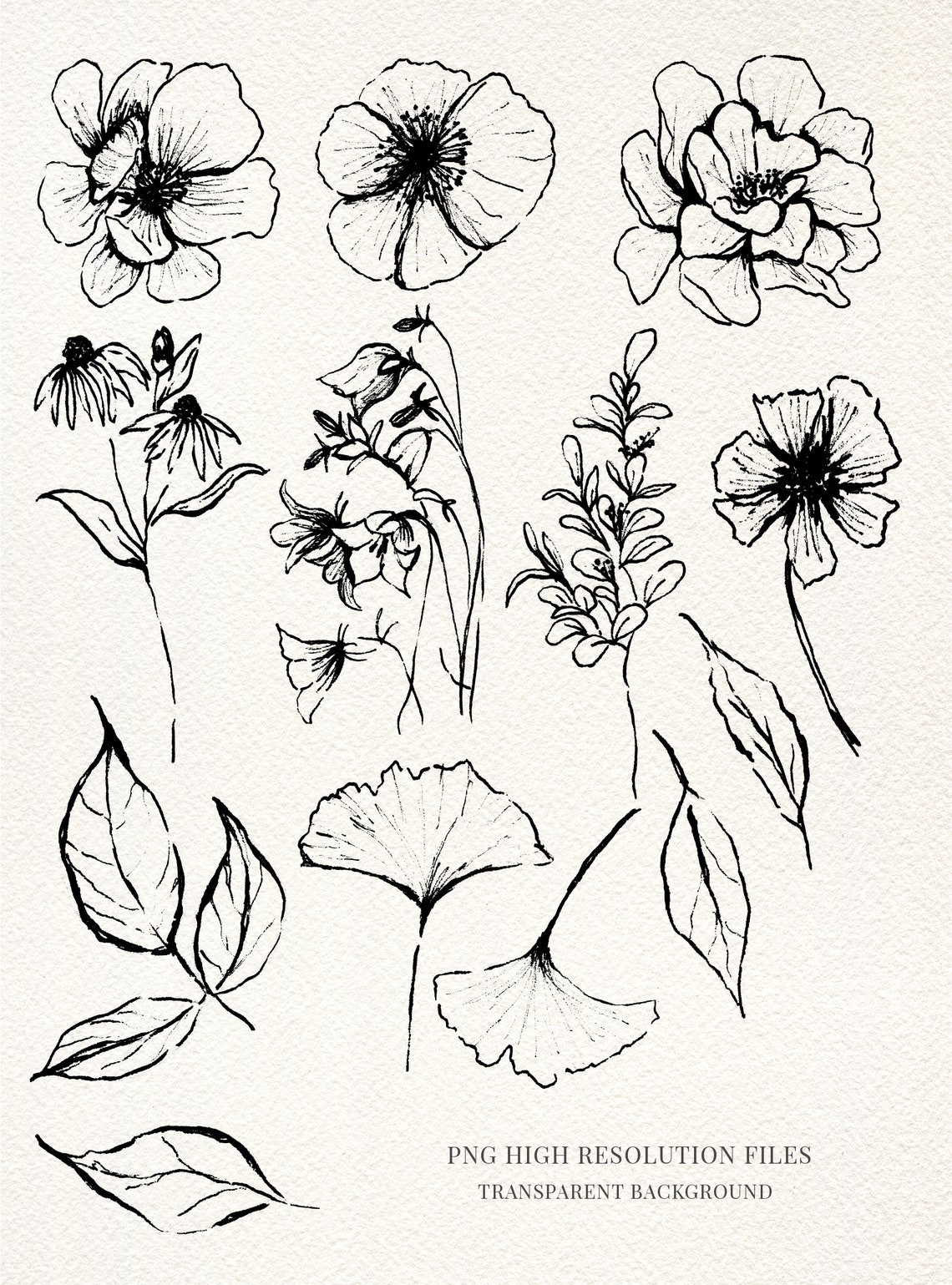 Wild Flowers Fine Line Clipart Hand Drawn Fine Art Graphic - Etsy
