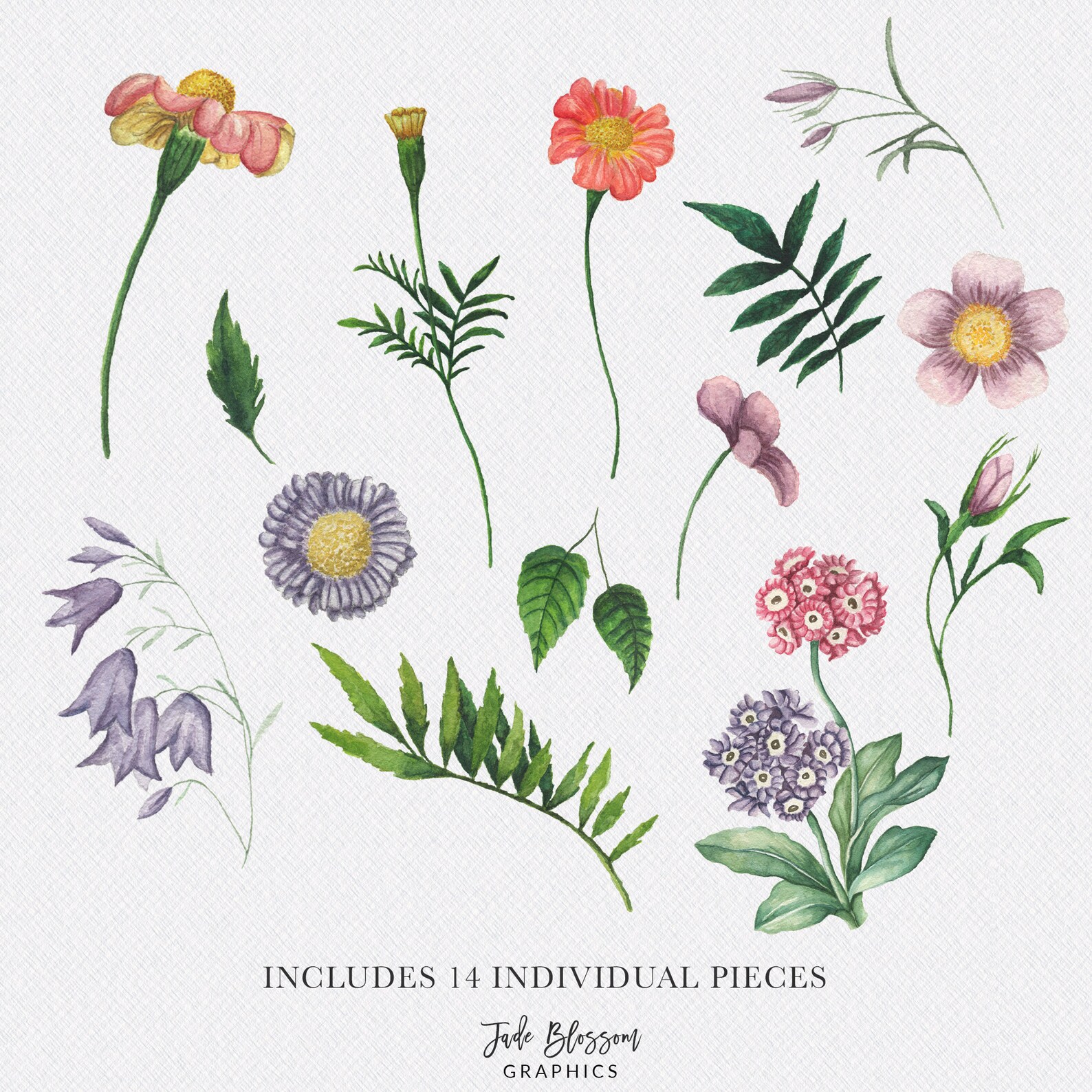 Hand Painted Watercolour Floral Clipart, Vintage Flowers, Watercolor ...