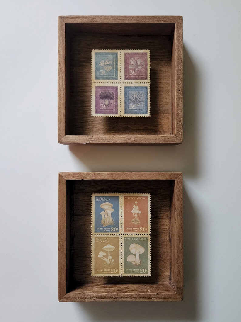 Mushroom Postage Stamp Shadowbox - Original Illustration Print ...
