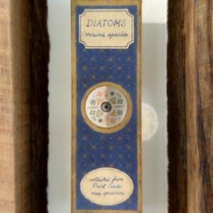 Diatoms Victorian Microscope Slide Shadowbox - Handmade Curiosity ...