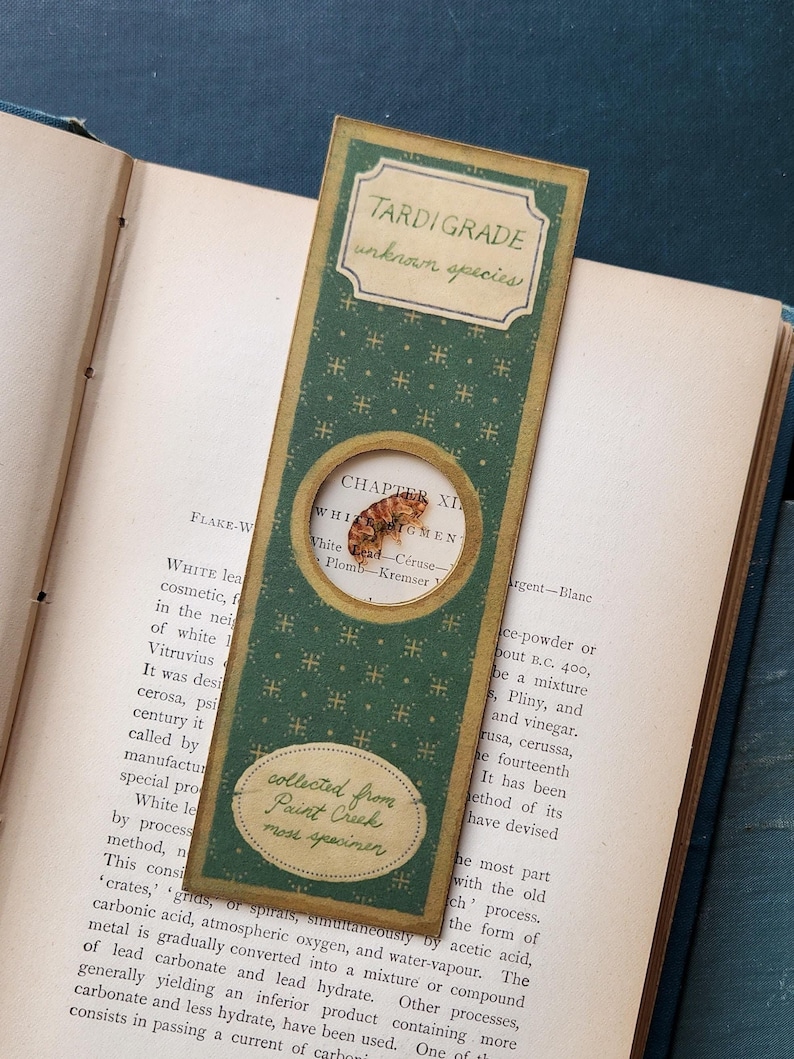Handmade Bookmark - Victorian Microscope Slide - Tardigrade - Etsy
