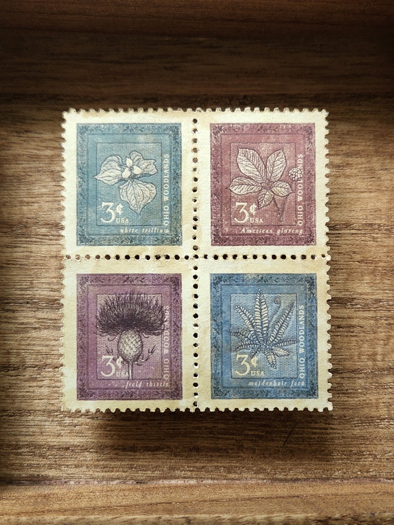 Woodland Plants Postage Stamp Shadowbox - Original Illustration Print ...